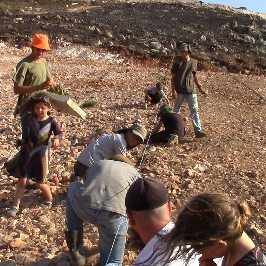 NEWS - Keep Shmitta Everywhere in the World - Share in the Mitzvah and ...