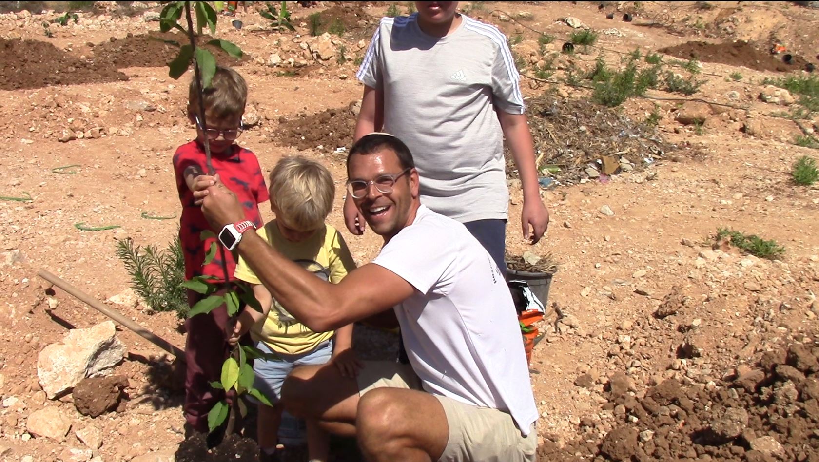Home - Plant Fruit Trees in Israel with IsraelTrees.org - Zo Artzeinu