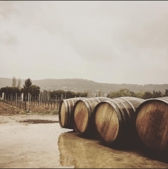 PIERACCI vins AOP Bandol, Côtes de Provence