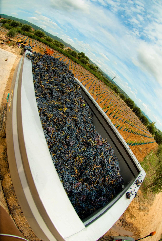 Domaine Pieracci | Dégustations & Événements