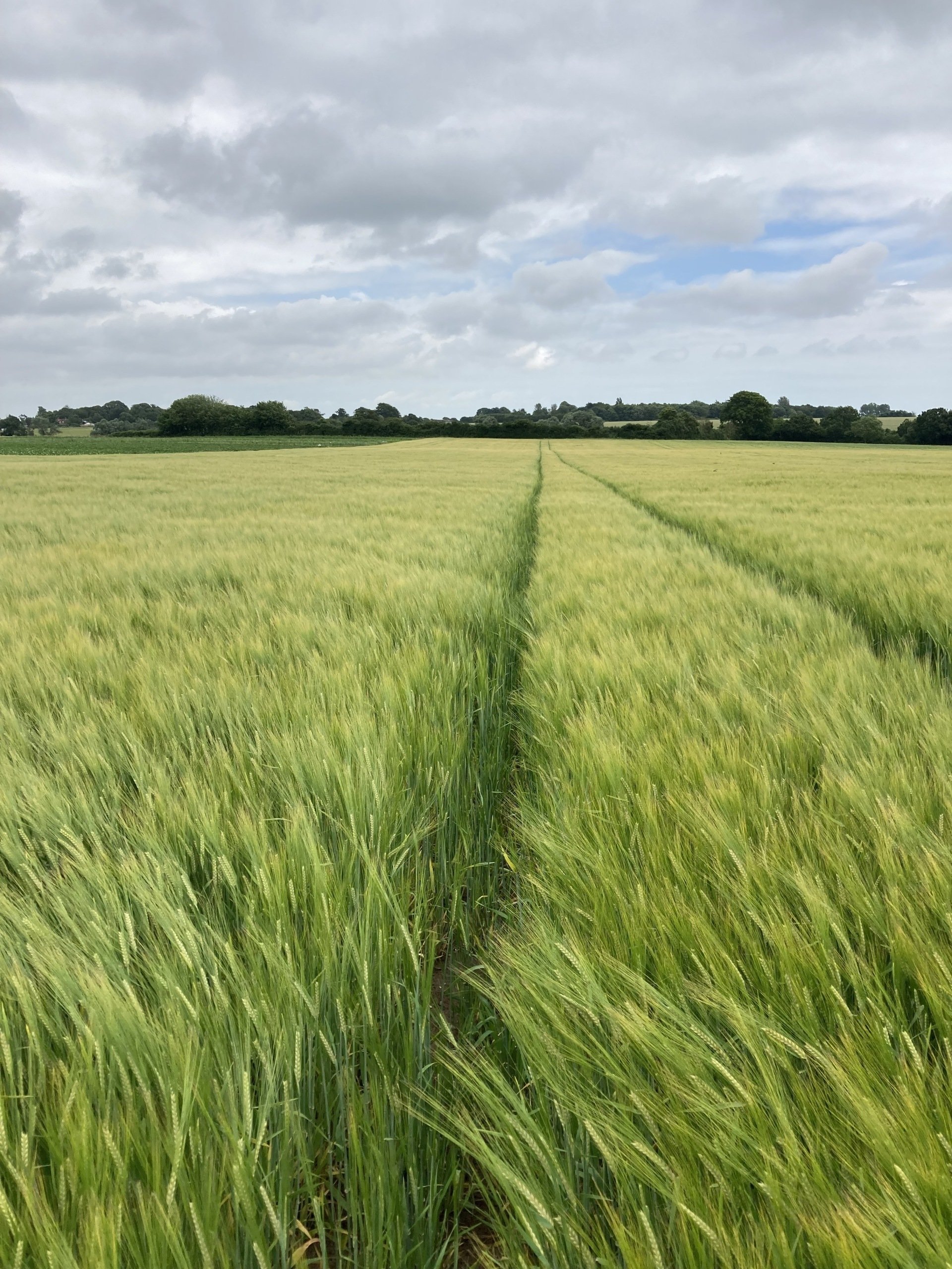 About | Brookelynne Farm Shop