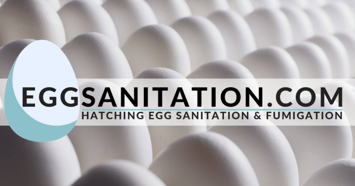 Egg Sanitation Equipment | Egg Washing | Ultrasonic Fumigation