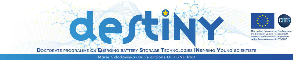 DESTINY PhD Programme Marie Skłodowska-Curie actions COFUND
