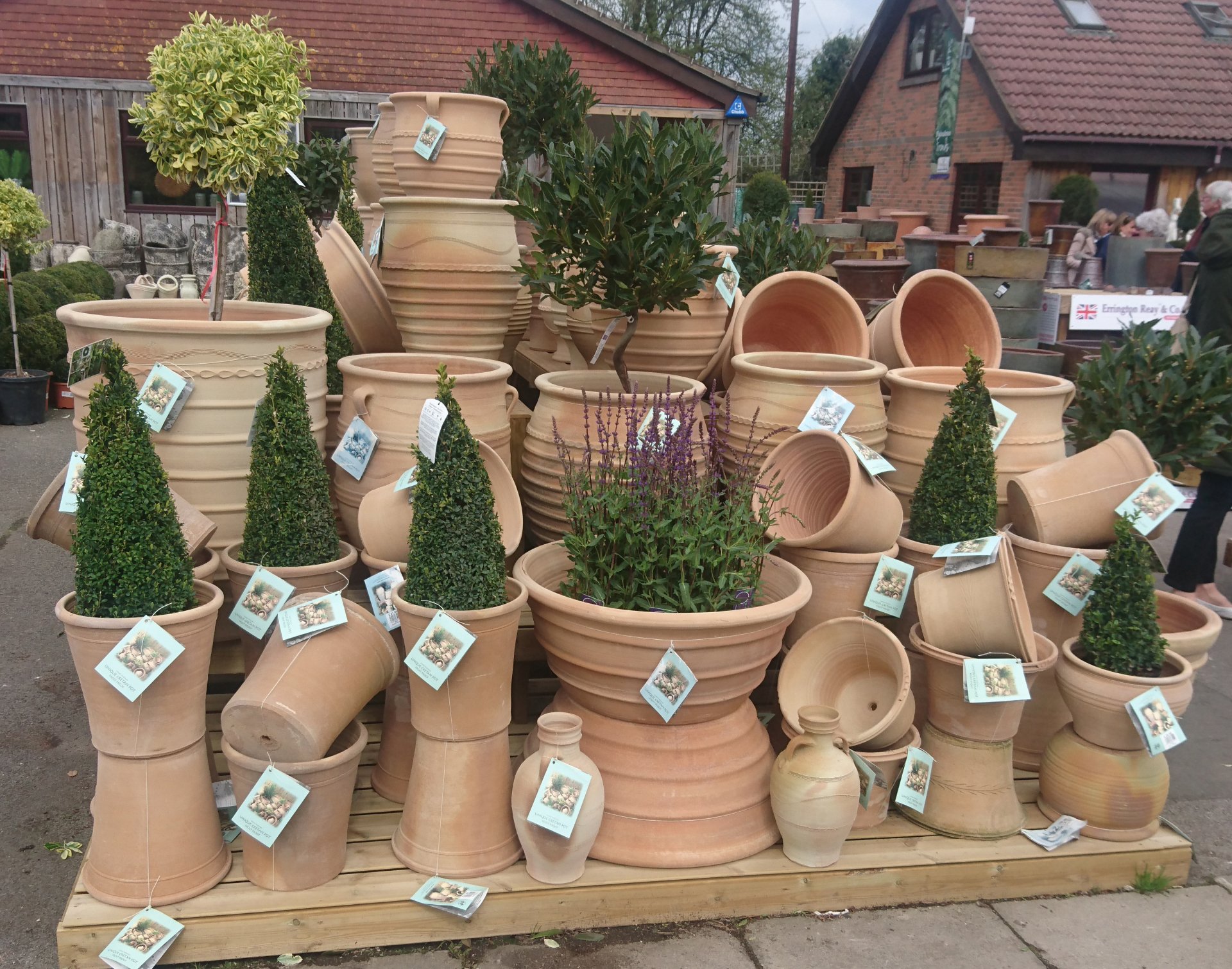 Oreya Cretan pots. Frost proof terracotta pots and planters.