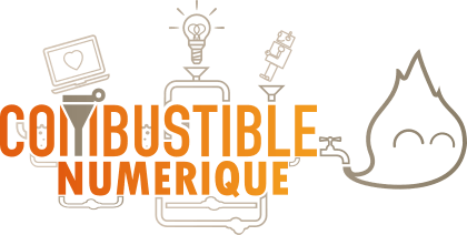 Inclusion Numérique pour public FLE avec le FSE, le PLIE Métropole Toulouse