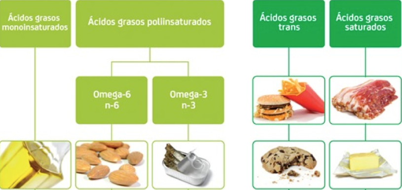 ácidos Grasos Poliinsaturados