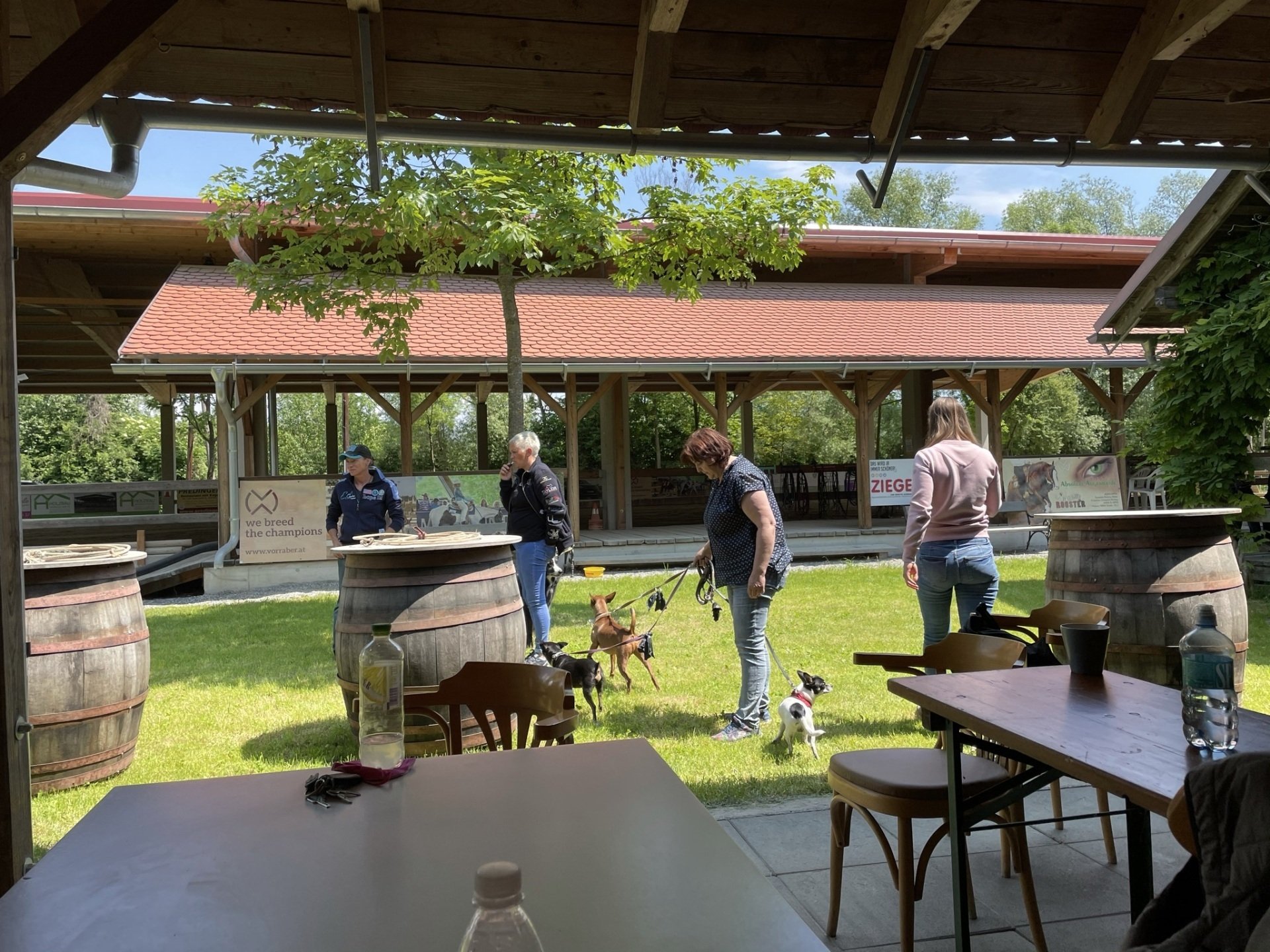 BB Ranch, Kontakt & Anfahrt