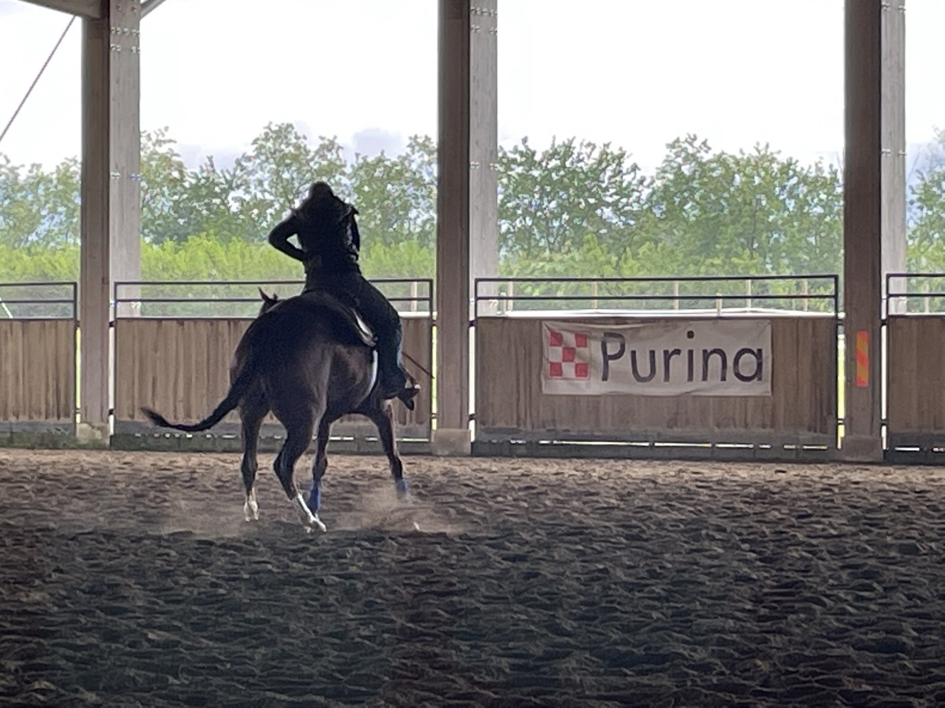 BB Ranch, Kontakt & Anfahrt