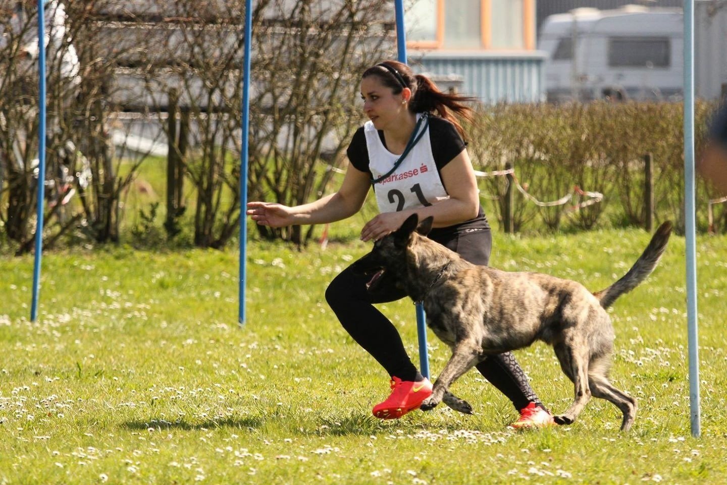 Turnierhundesport