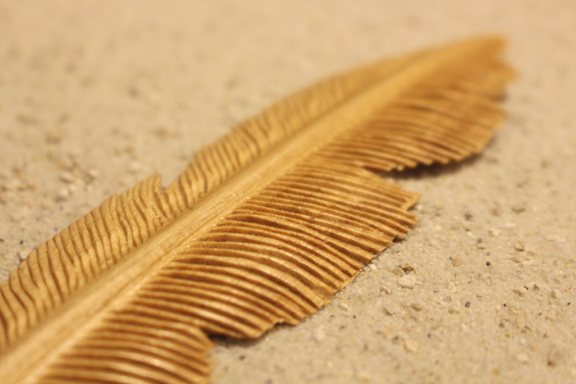 Kunsthandwerk aus Holz, light sculptures, Federn und Holz schmuck