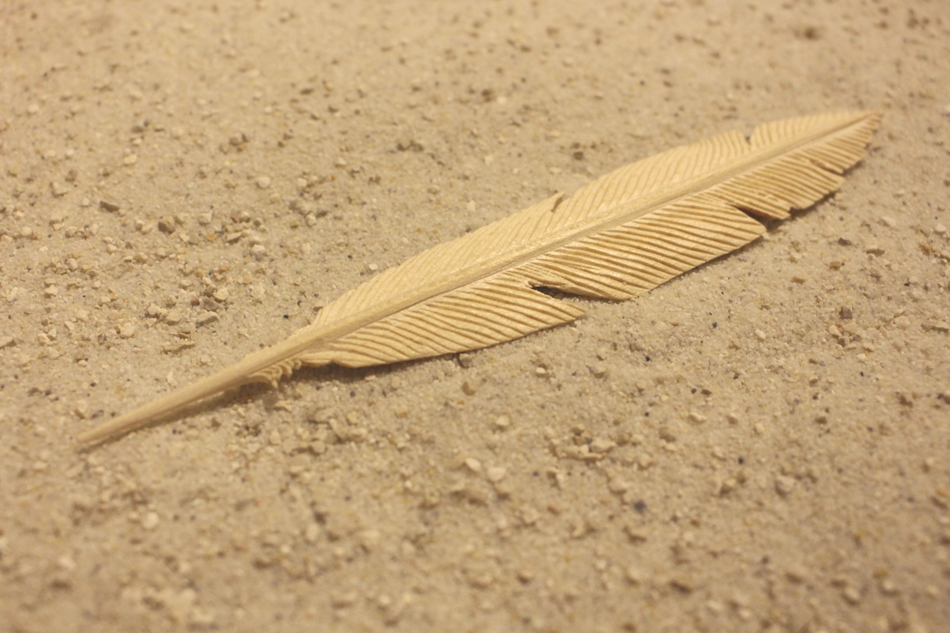 Kunsthandwerk aus Holz, light sculptures, Federn und Holz schmuck