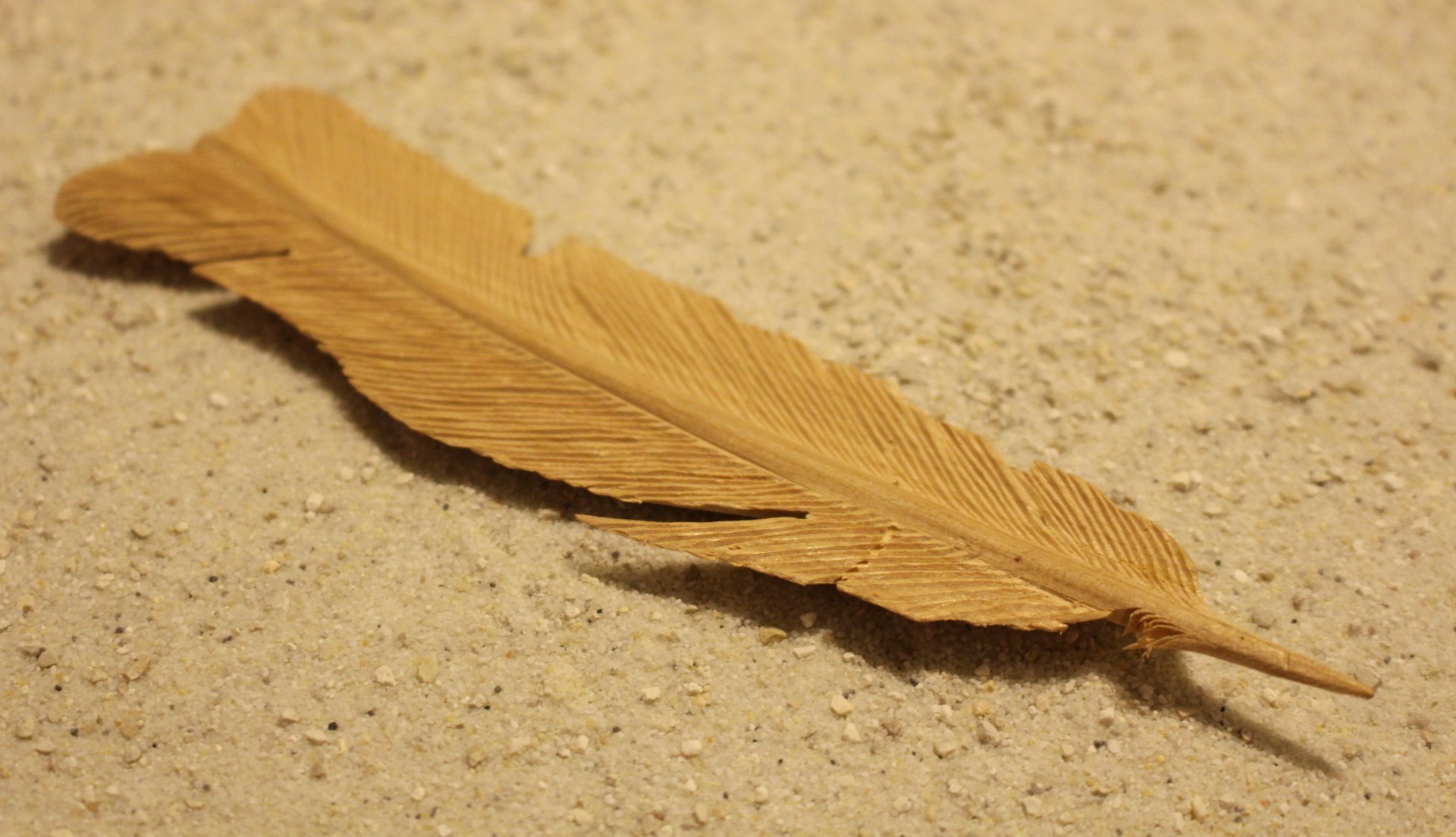 Kunsthandwerk aus Holz, light sculptures, Federn und Holz schmuck