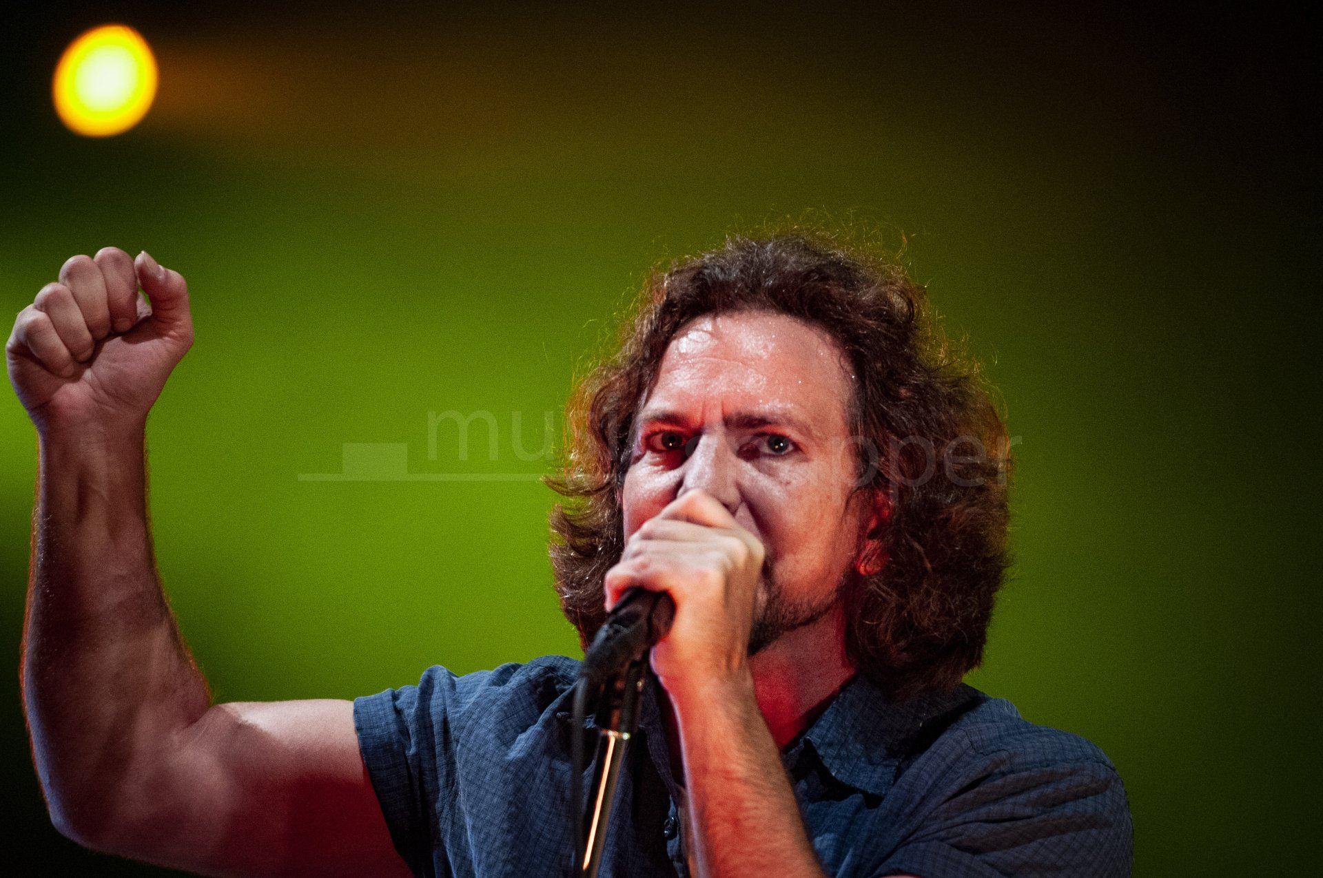 MusicSnapper.com