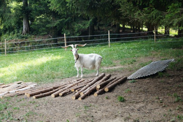 Wildes-Weiba-Wandern