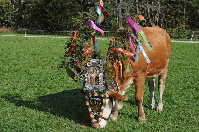 FiSCHERGUT - Brauchtum und Tradition