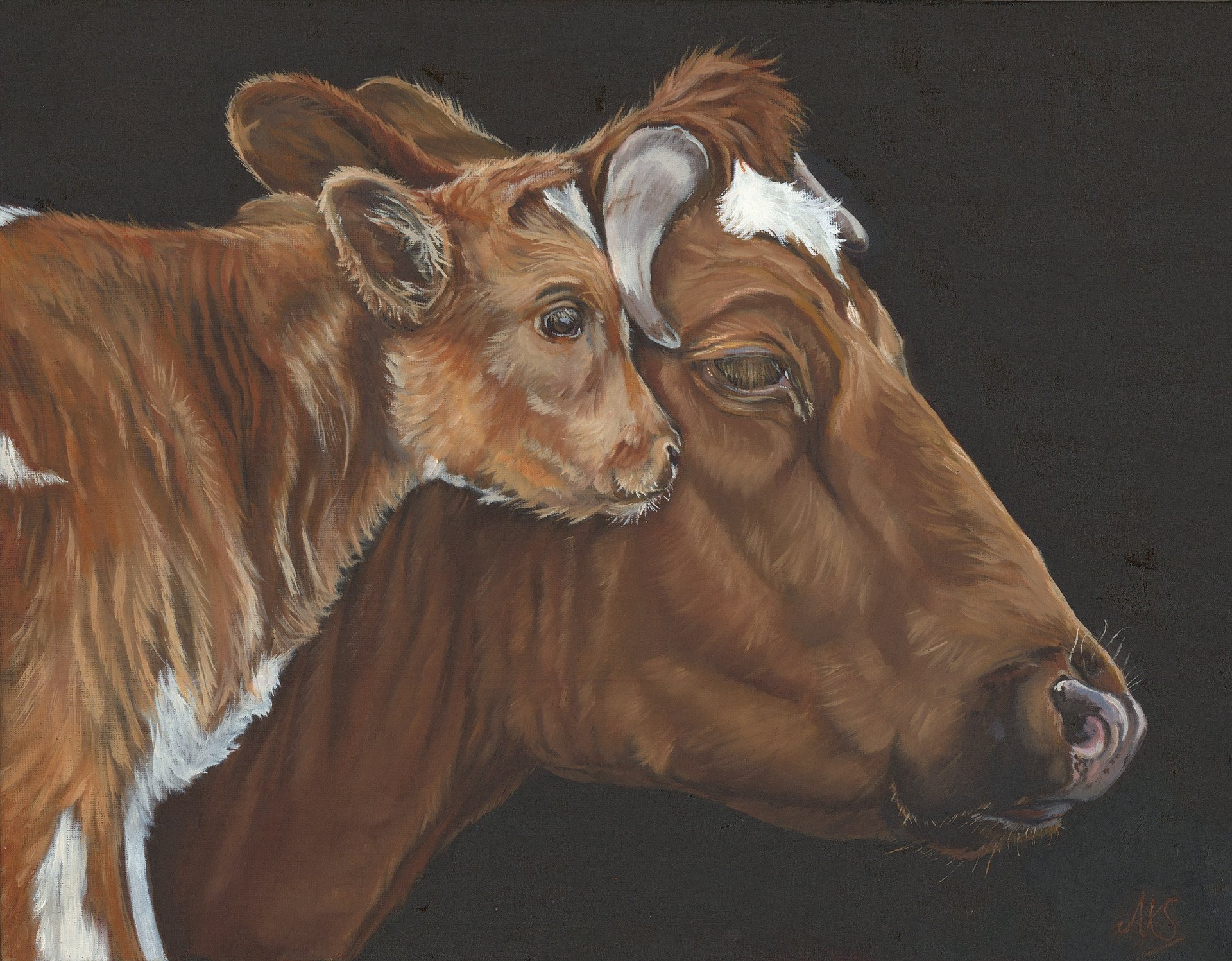 Anita Saunders Artist artwork and information