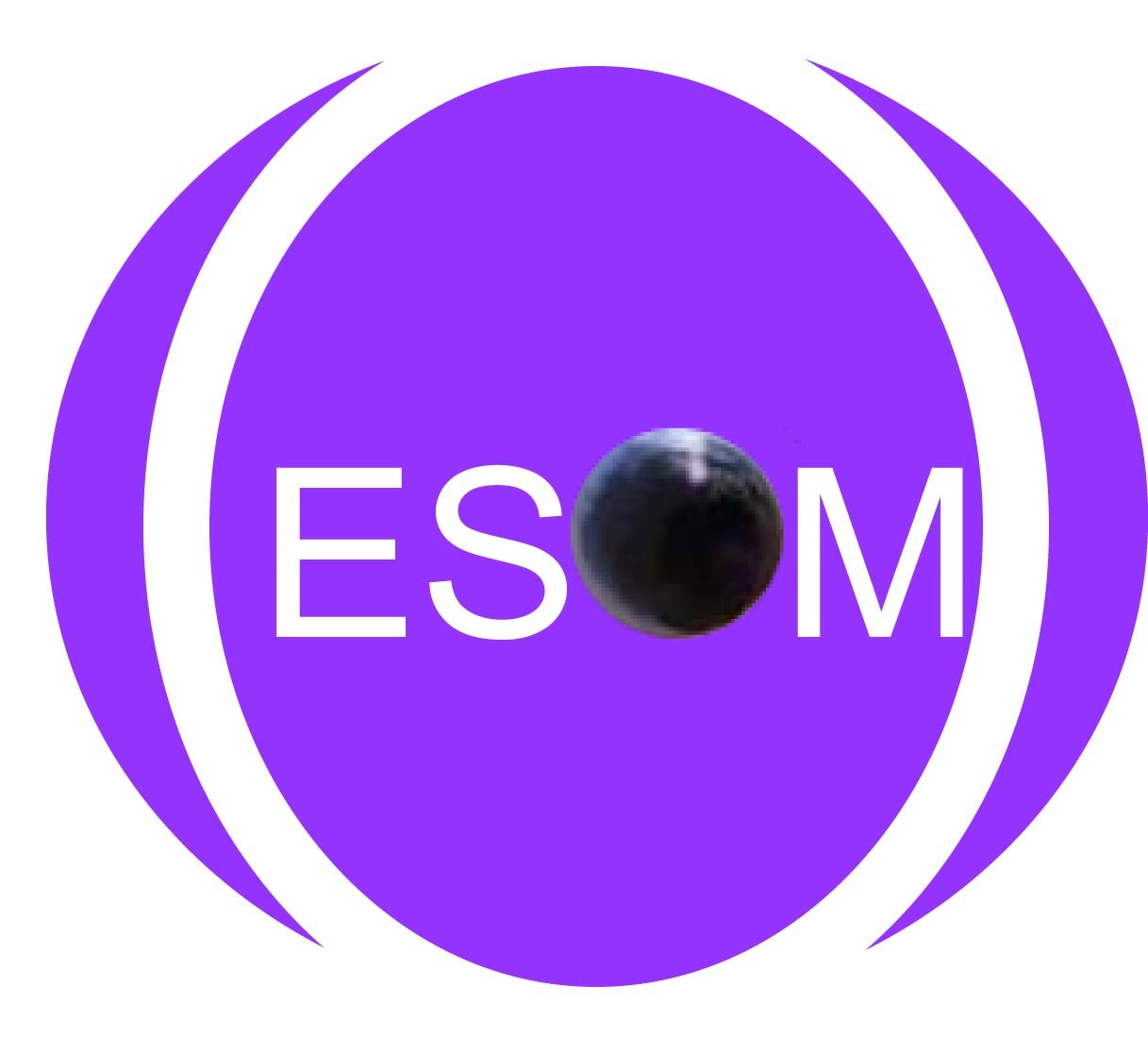Consulting Firm for Women | Maryland | Esom Global Women Investigators