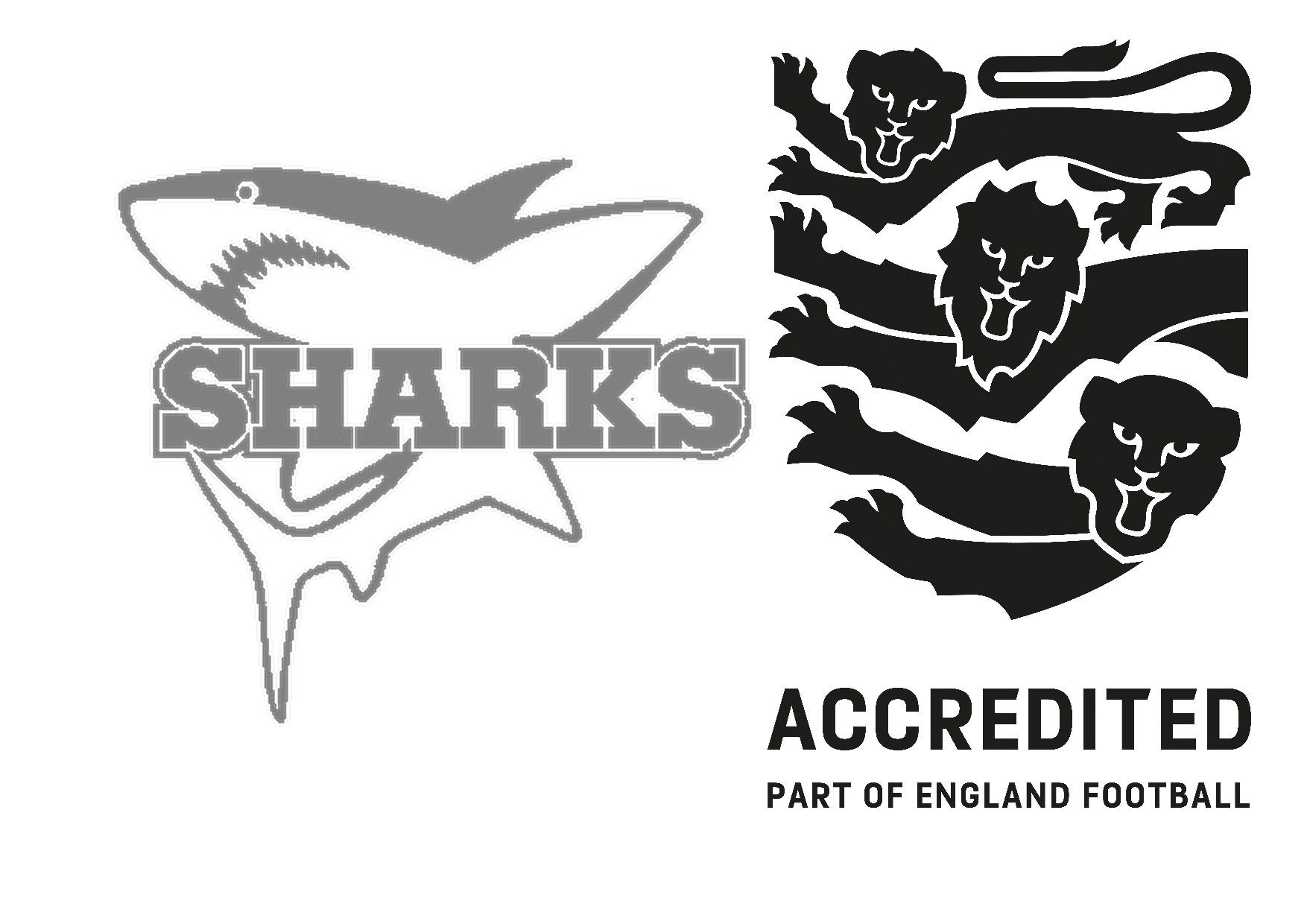 Elstead Sharks FC | Youth Football | Surrey