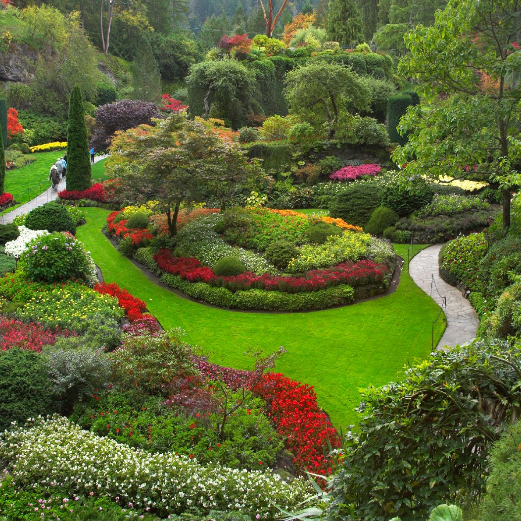 Garden design Garden care Landscaping