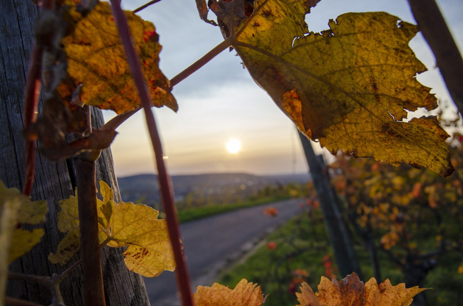 Schlosskellerei Von Gaisberg