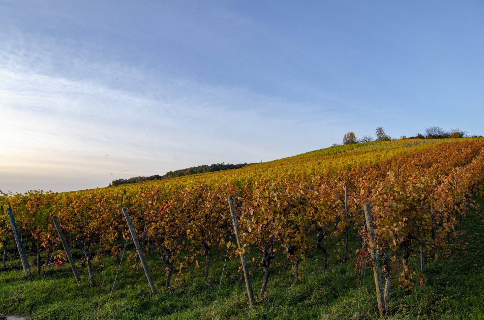 Schlosskellerei Von Gaisberg