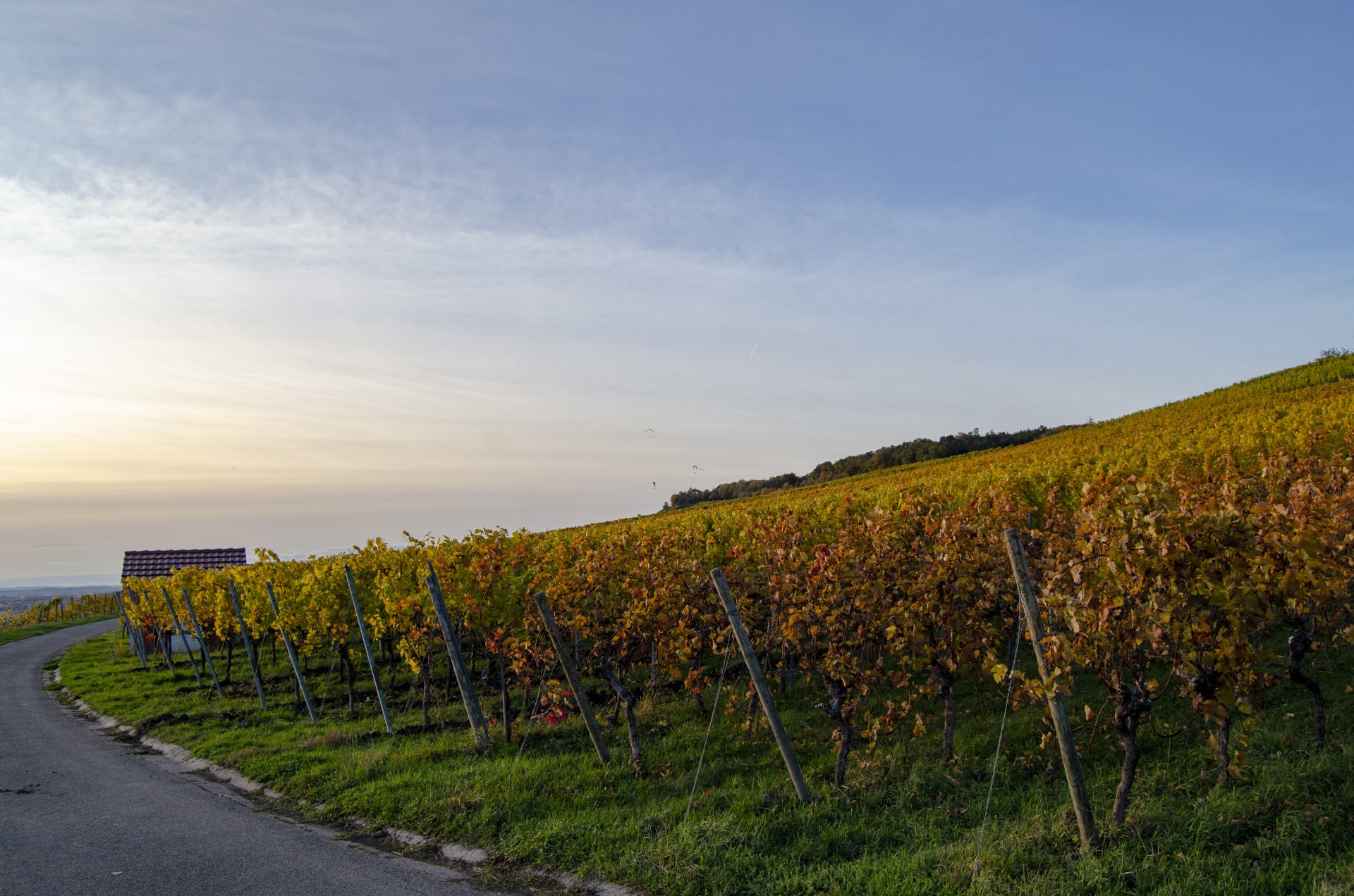 Schlosskellerei Von Gaisberg