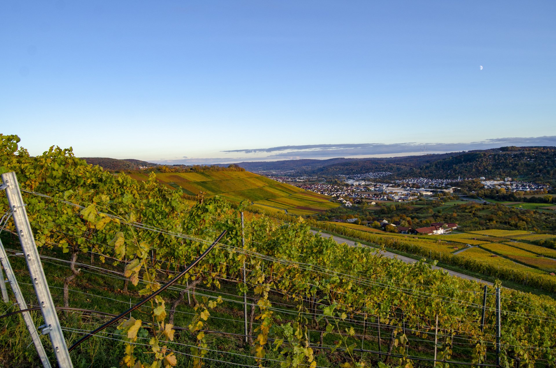 Schlosskellerei Von Gaisberg