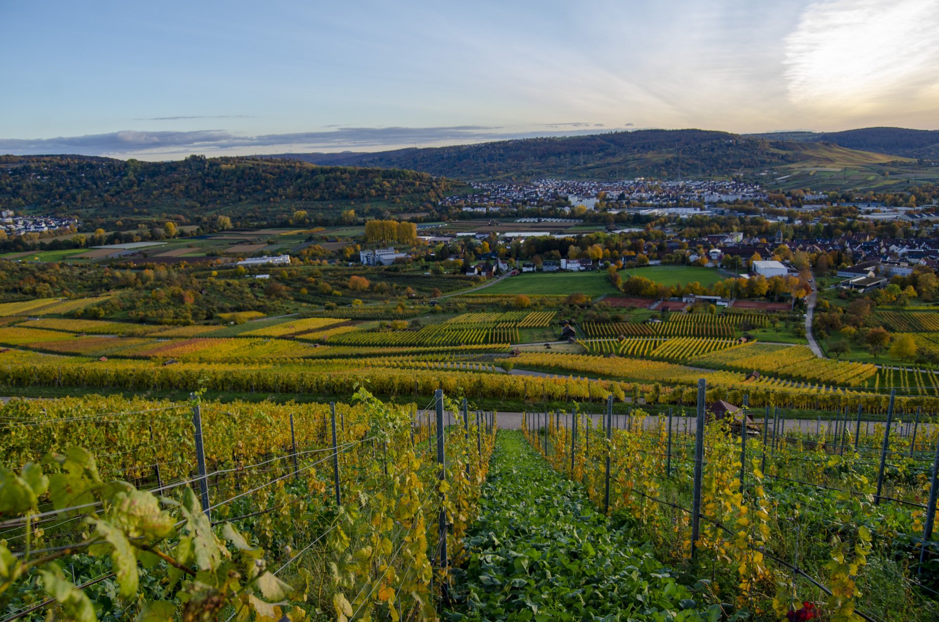 Schlosskellerei Von Gaisberg