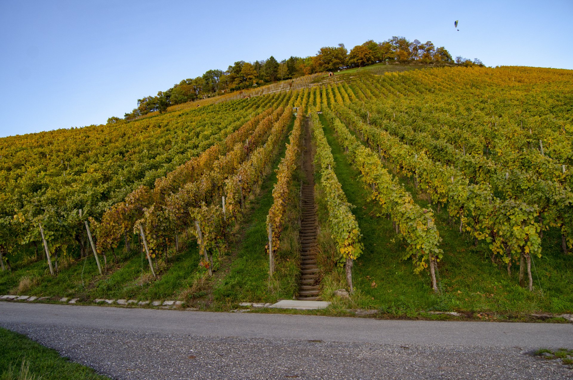Schlosskellerei Von Gaisberg