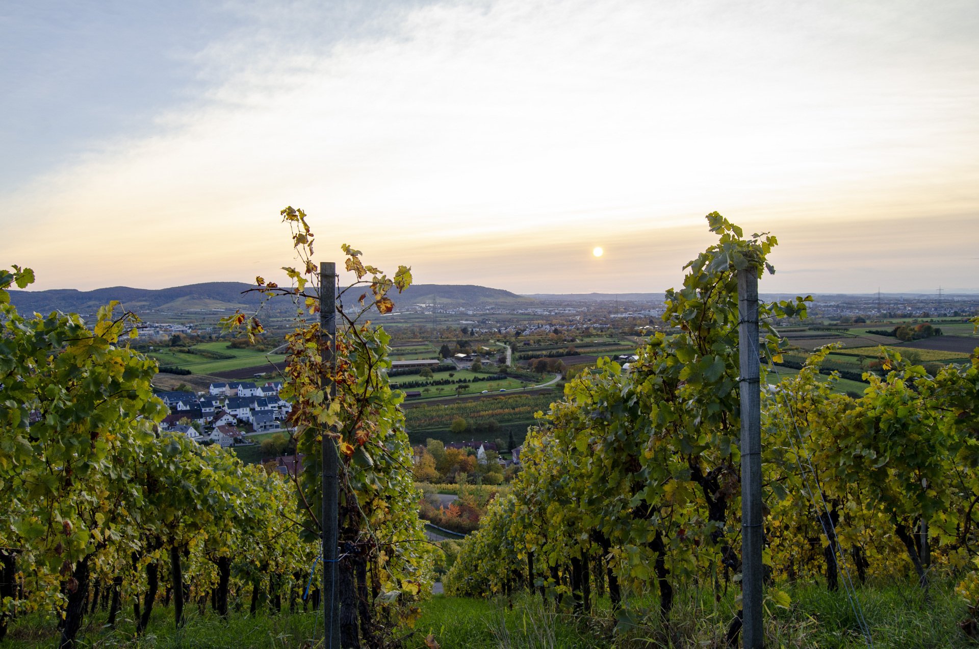 Schlosskellerei Von Gaisberg