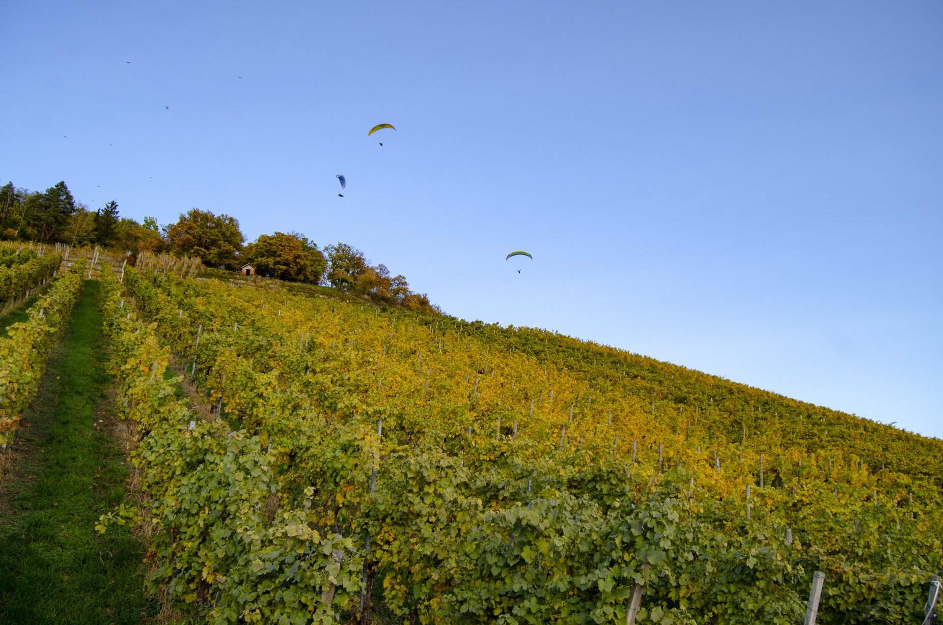 Schlosskellerei Von Gaisberg