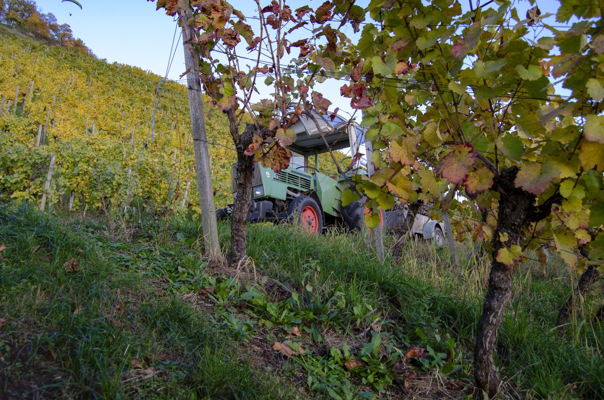 Schlosskellerei Von Gaisberg