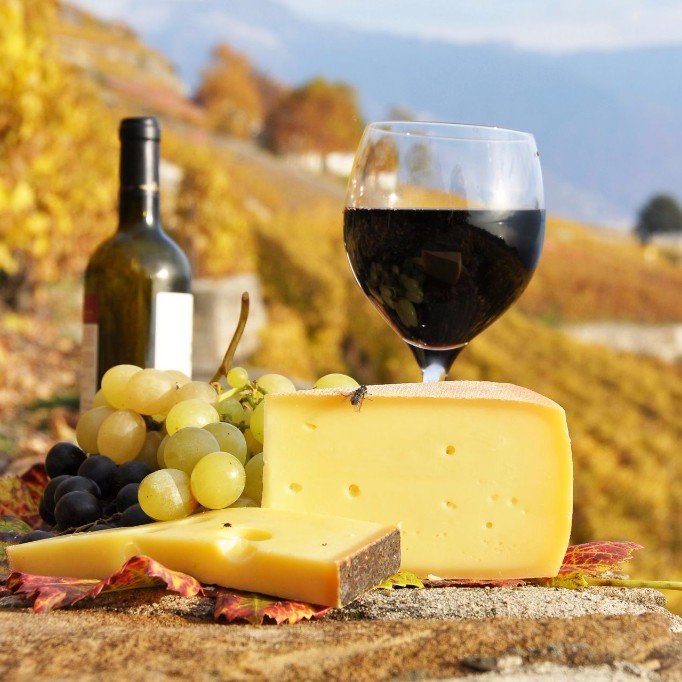 Startseite Vinothek Stift Klosterneuburg