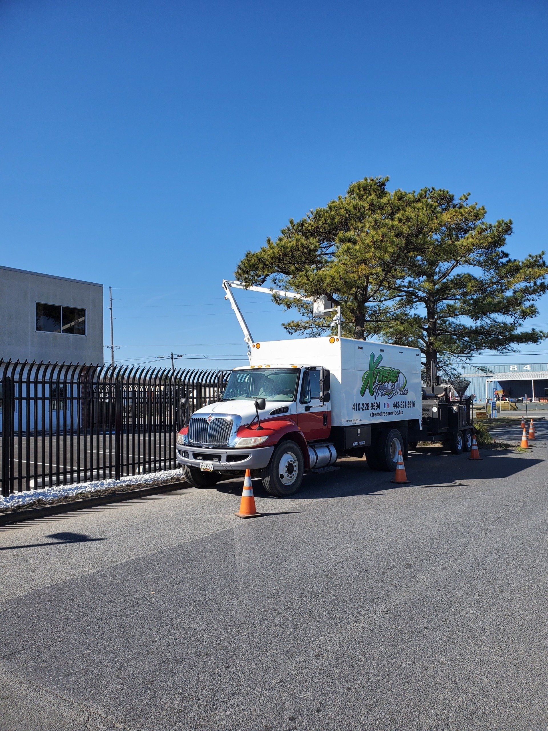 Xtreme tree service Cambridge Maryland