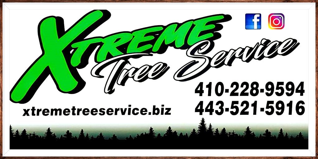 Xtreme tree service Cambridge Maryland