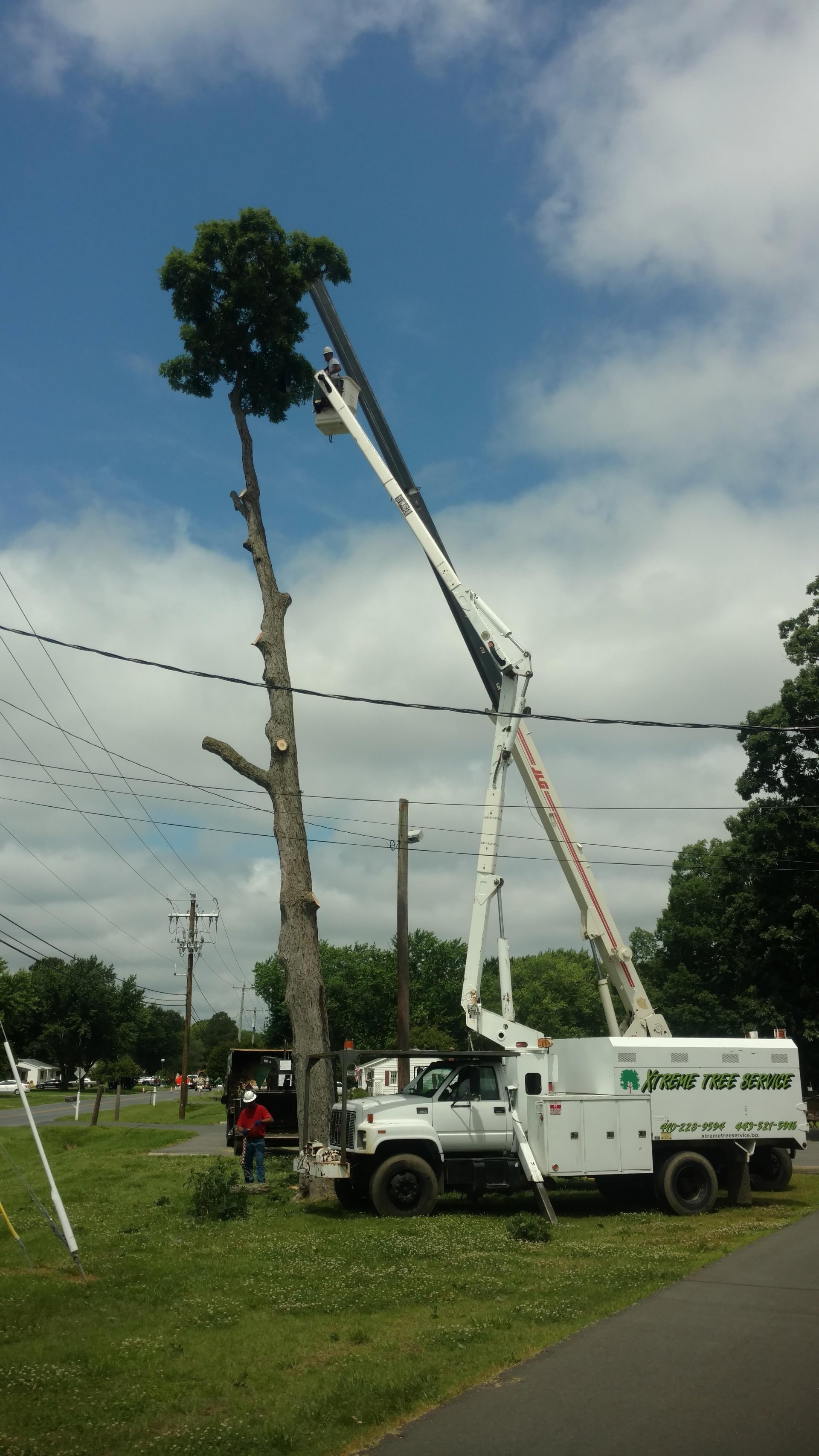 Xtreme tree service Cambridge Maryland