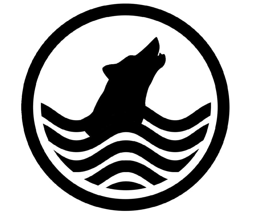 AMAROQ DIESEL OUTBOARDS