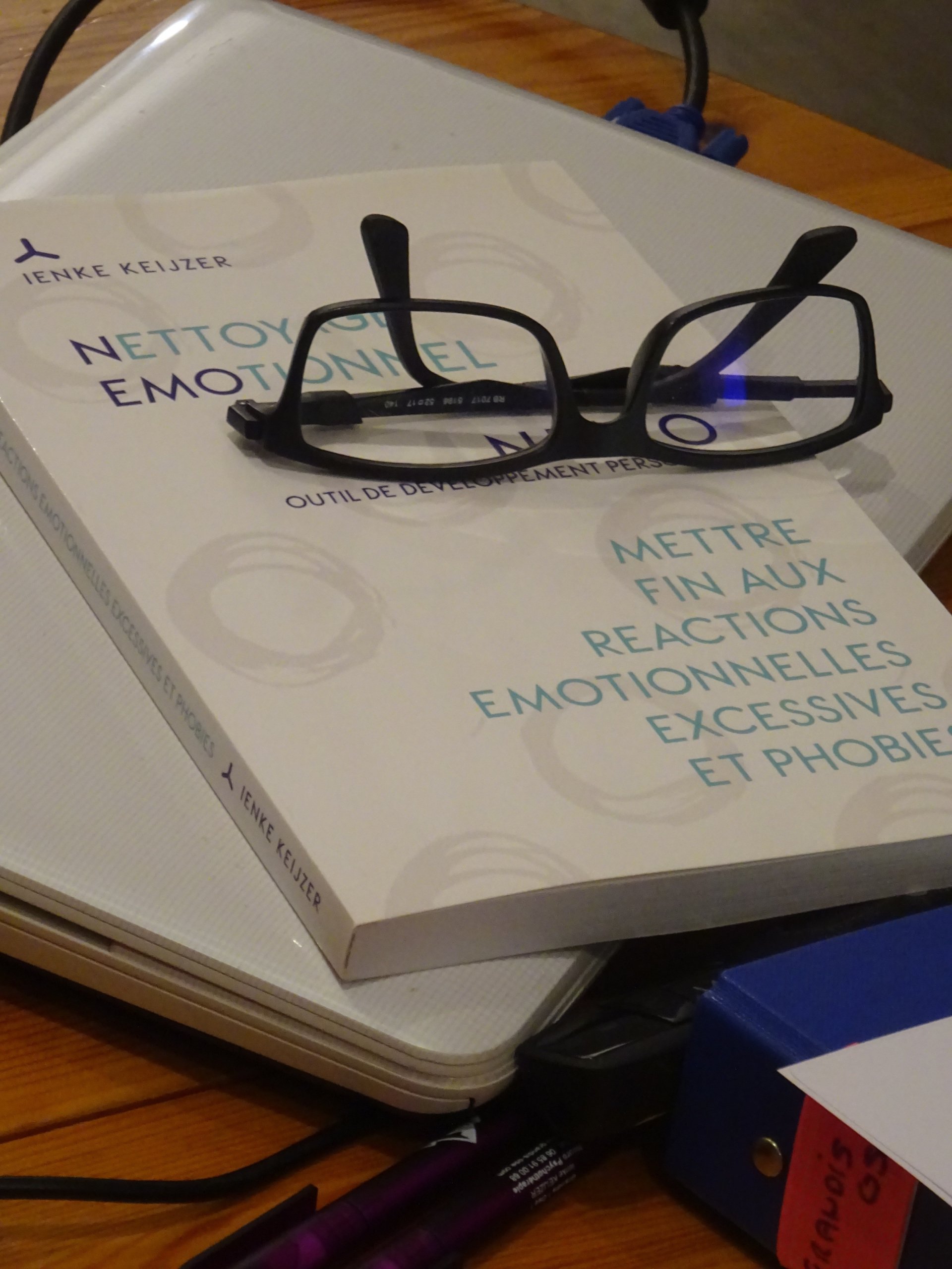 Supervision thérapeutes - NEMO - NEURO - ienke Keijzer