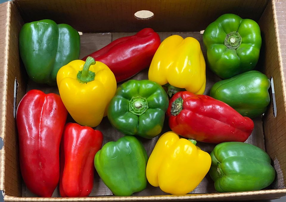 Bell Peppers