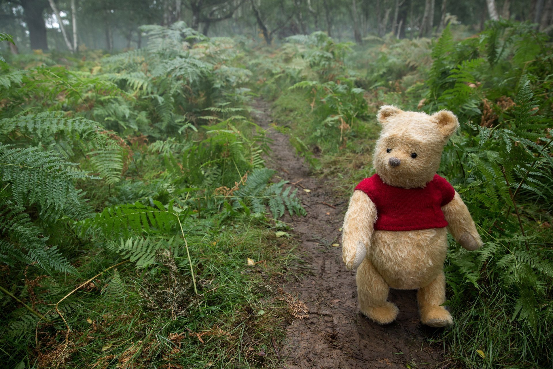 Winnie Puuh und seine Freunde in ihrem ersten Realfilmabenteuer: Eine ...