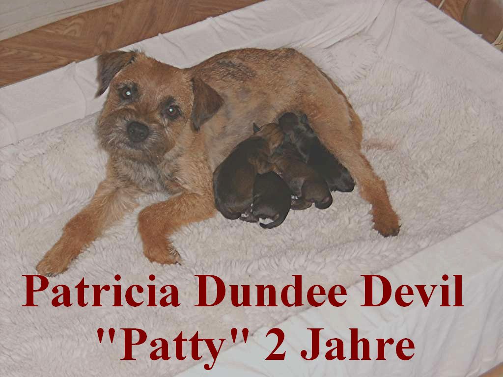 Patricia Dundee Devil "Patty"