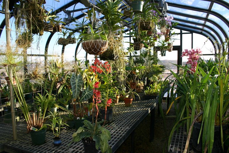 Botanical Greenhouse Builders, Greenhouse and Conservatory