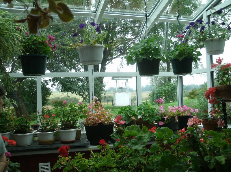 Botanical Greenhouse Builders, Greenhouse and Conservatory