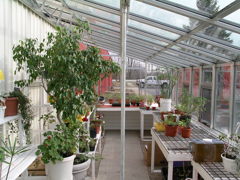 Botanical Greenhouse Builders, Greenhouse and Conservatory