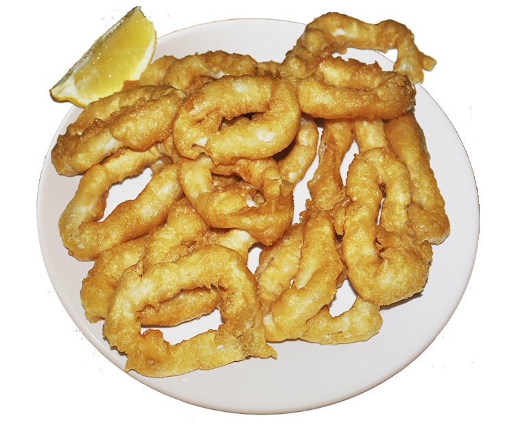 Calamar de la costa del mediterráneo