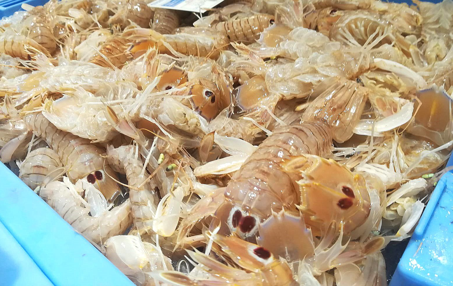 Galeras, sabores del Mediterráneo