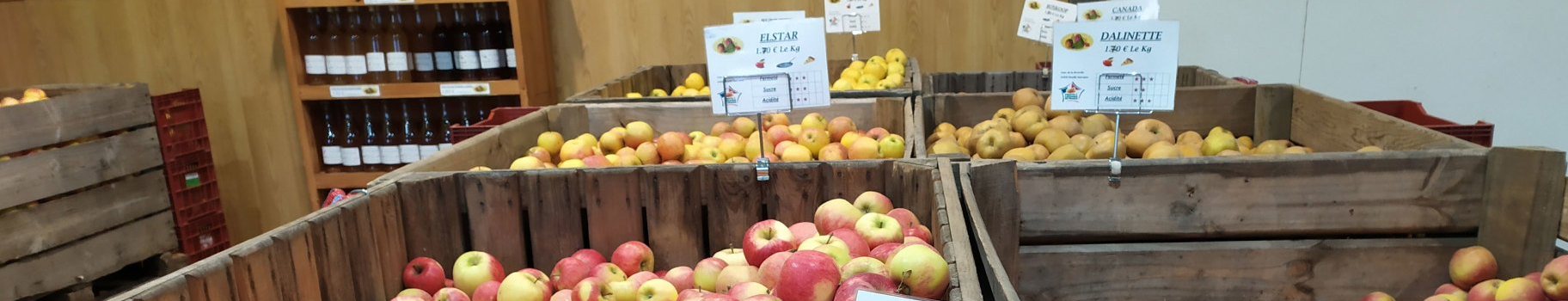 Nos fruits de saison