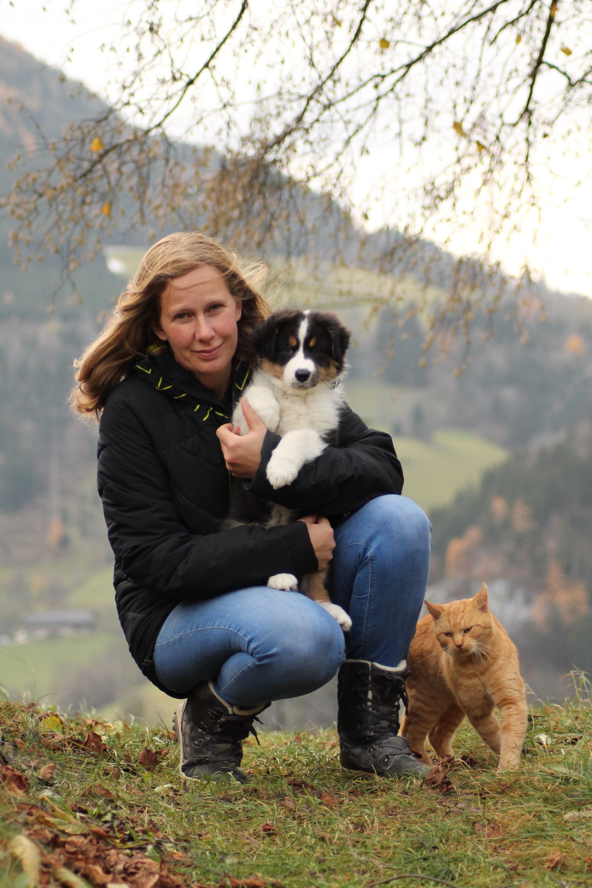 Hundeschule/Training, Hundezucht - Andrea Plank