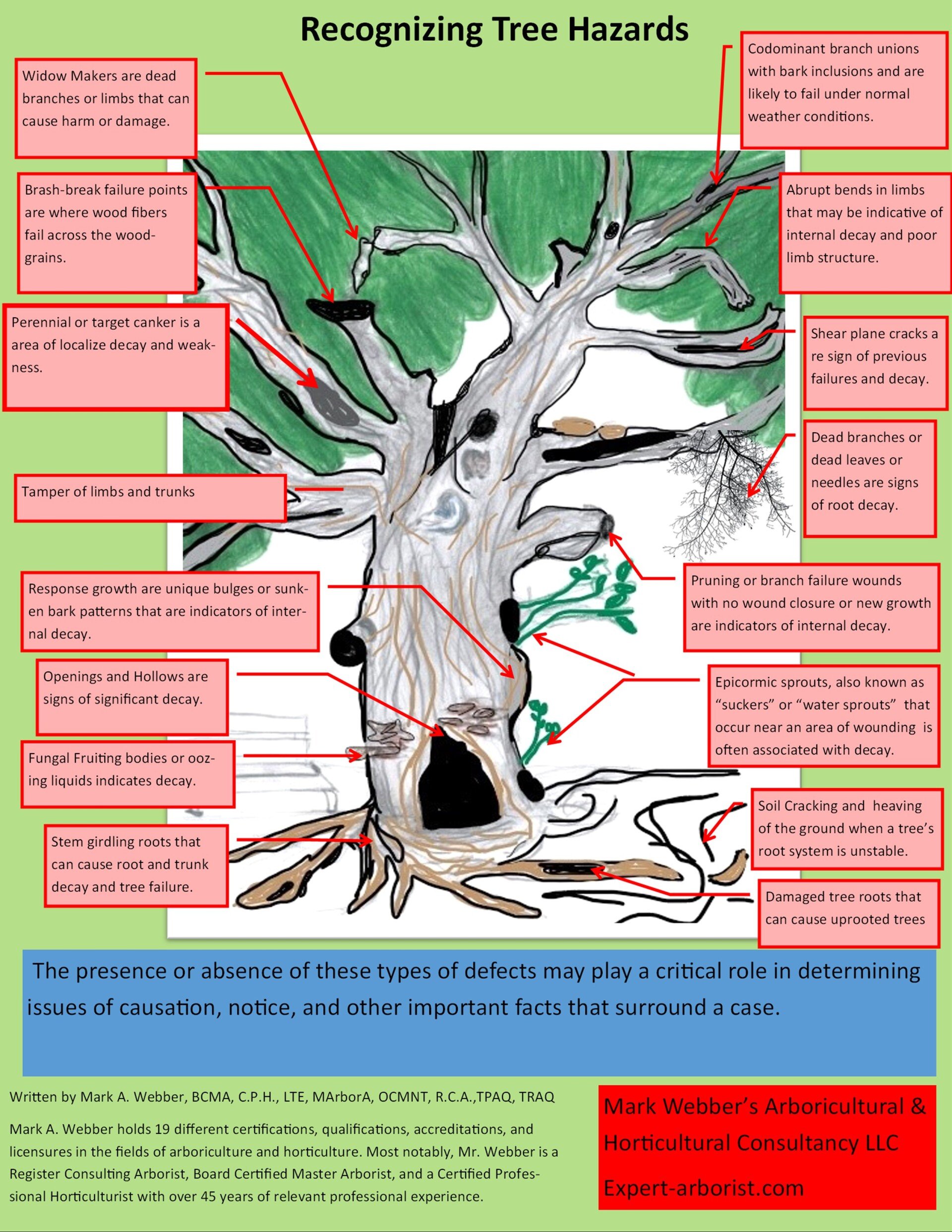 Recognizing Tree Hazards