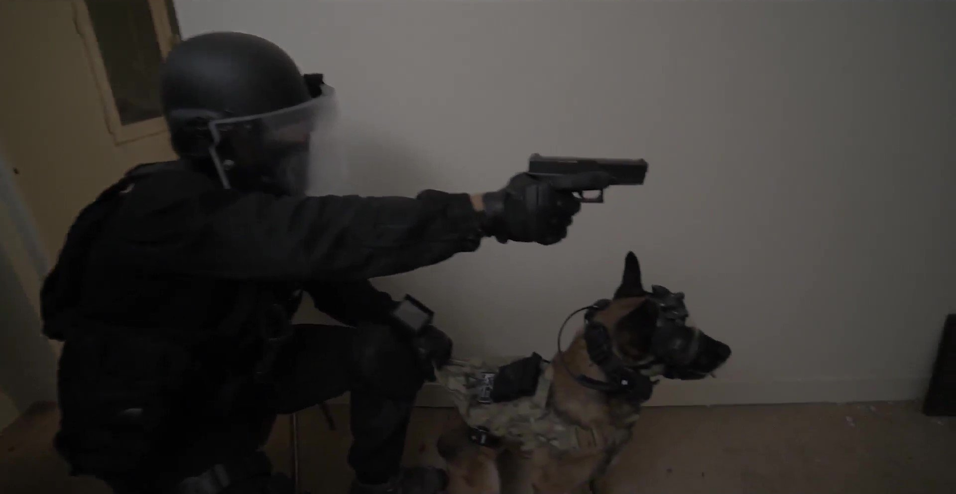 K9 supervision, dog goggle camera, see, listen, record